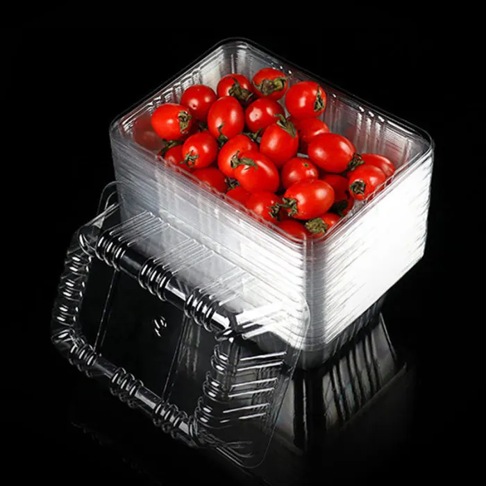 CASEROLE FRUCTE/LEGUME CU CAPAC SEPARAT